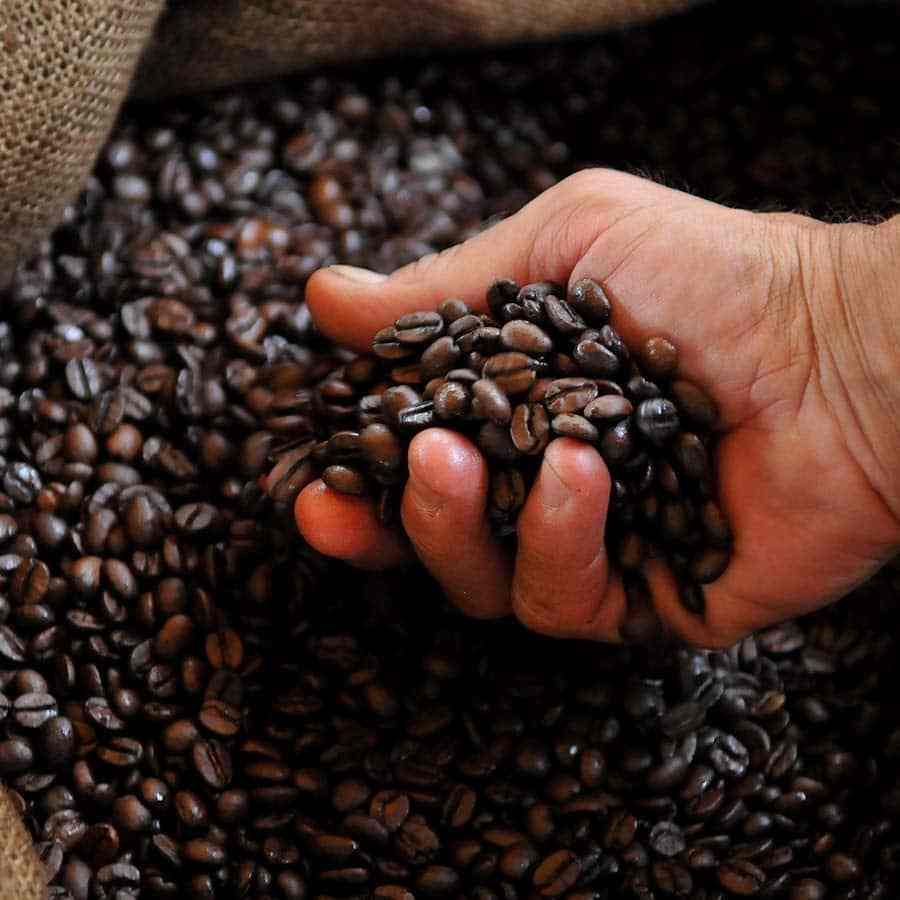 selection | Antler Coffee